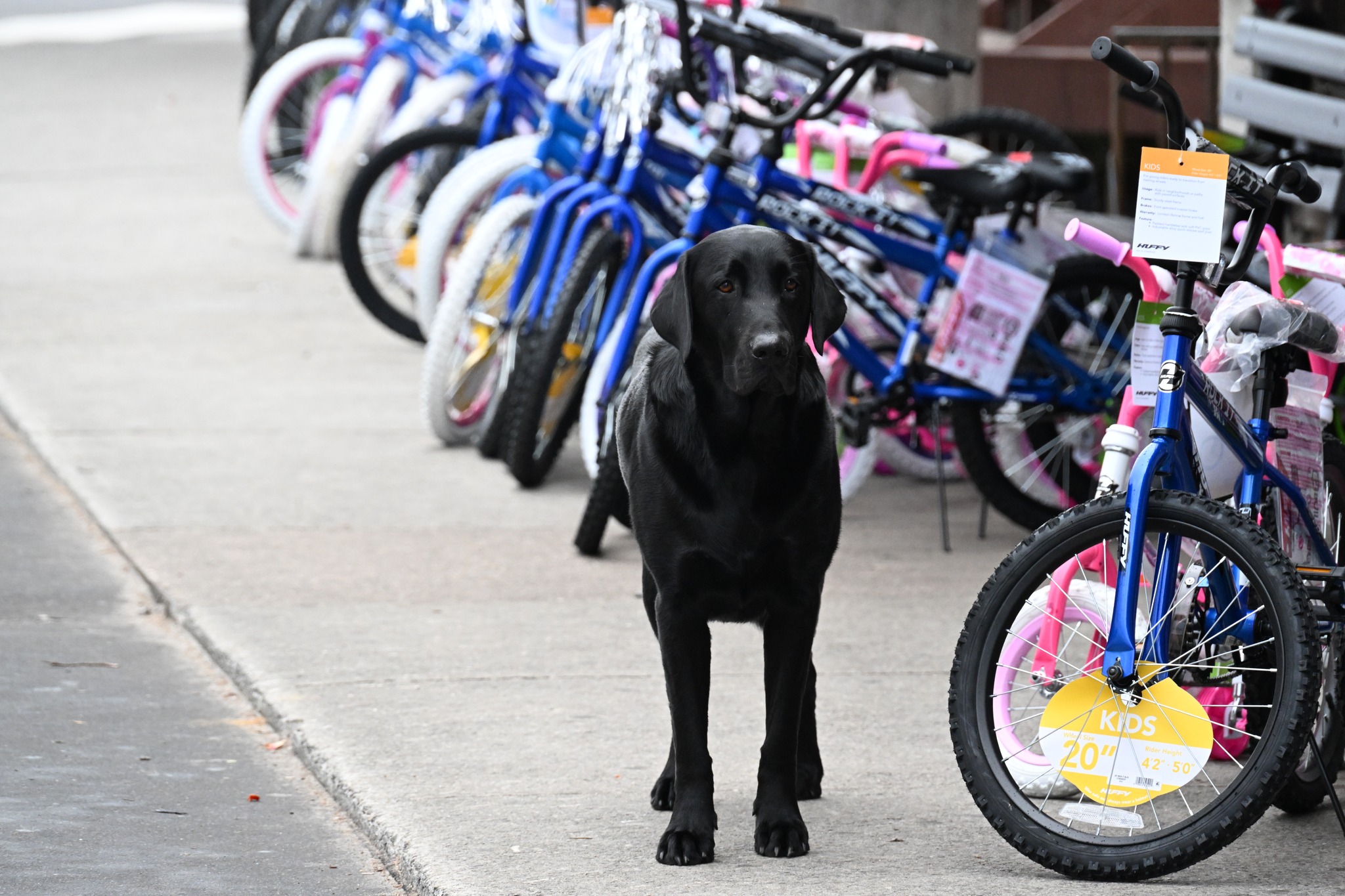 Sheriff's Office Participates in Record-Breaking Jimmy's Bike Drive ...