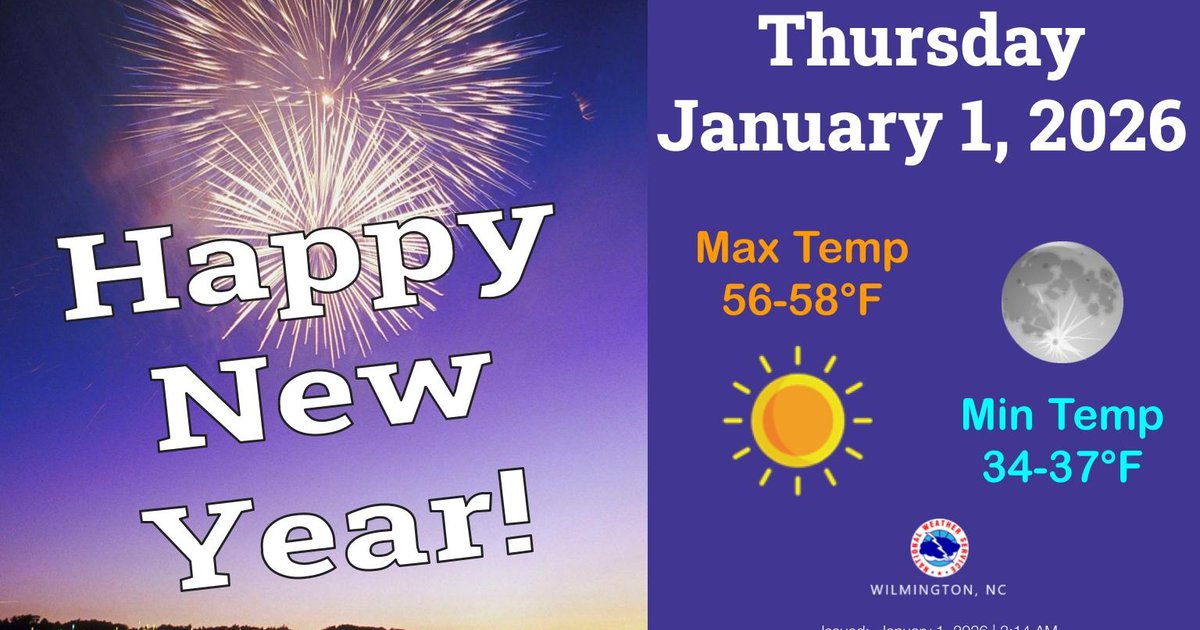 Sunny New Year's Day - Wilmington Community Dashboard